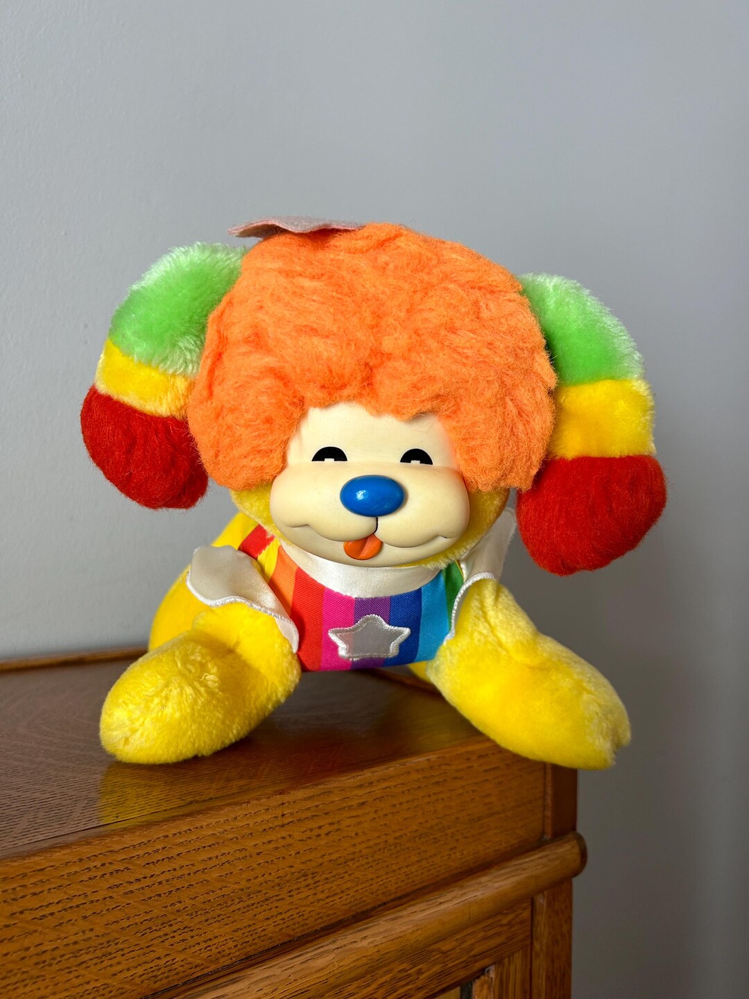 Vintage Rainbow Brite Puppy Dog Plush Stuffed Animal Hallmark Mattel ...