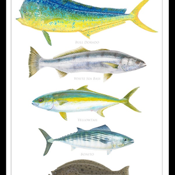Blue Fish Art - Etsy