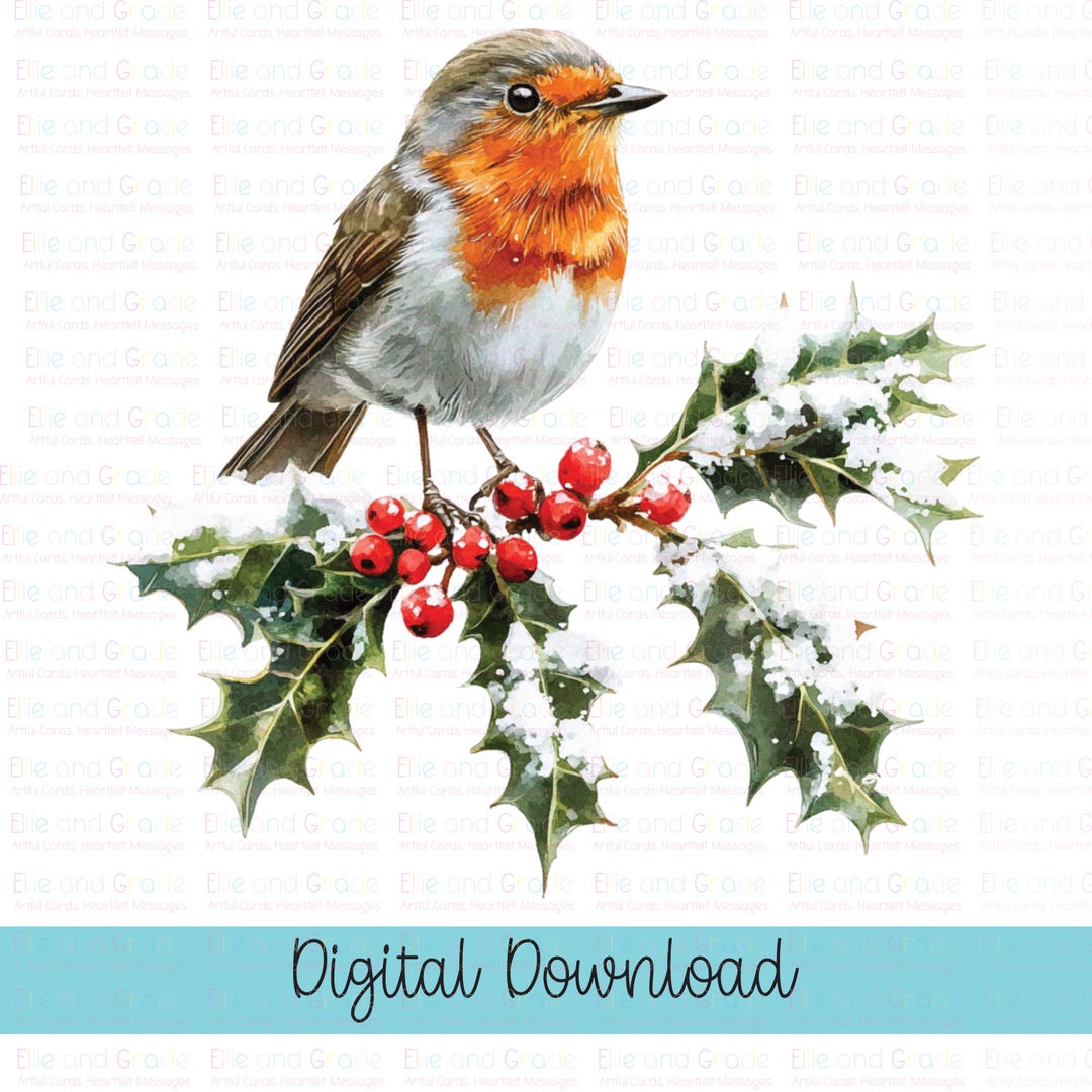 Christmas Robin Png, Robin Png, Christmas Clip Art, Christmas Digital ...