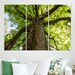 Tree Large Wall Art Canvas Print Home Decor Green Tree Canvas - Etsy