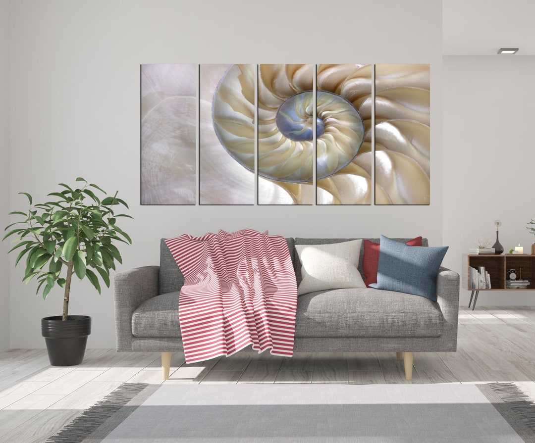 Nautilus Sea Shell Wall Art Canvas, Sea Shell Photo Print, Sea Shell ...