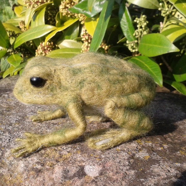 Felted Frog - Etsy