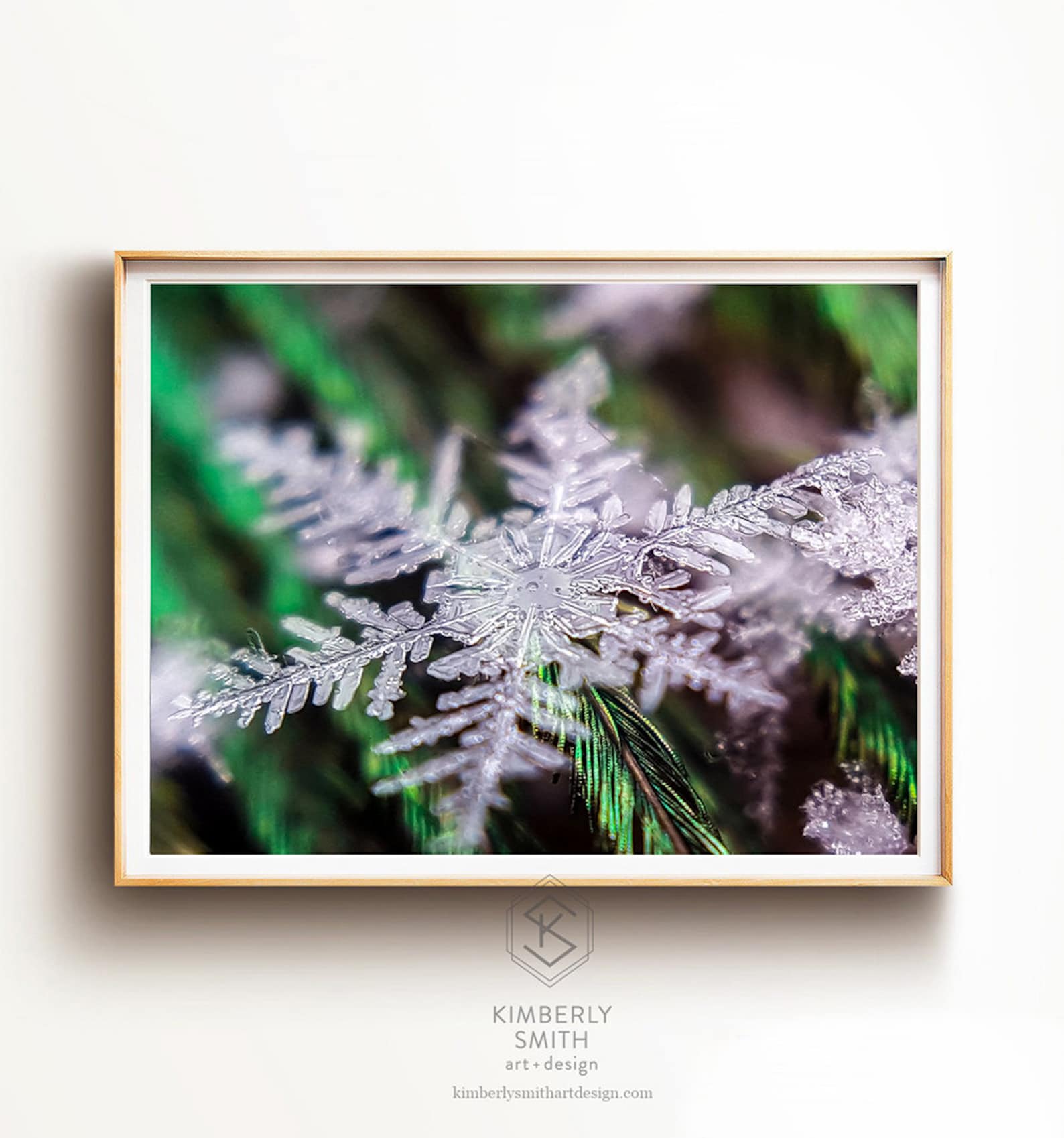 Perfect Peacock Feather Snowflake -real Macro Photography Fine Art ...