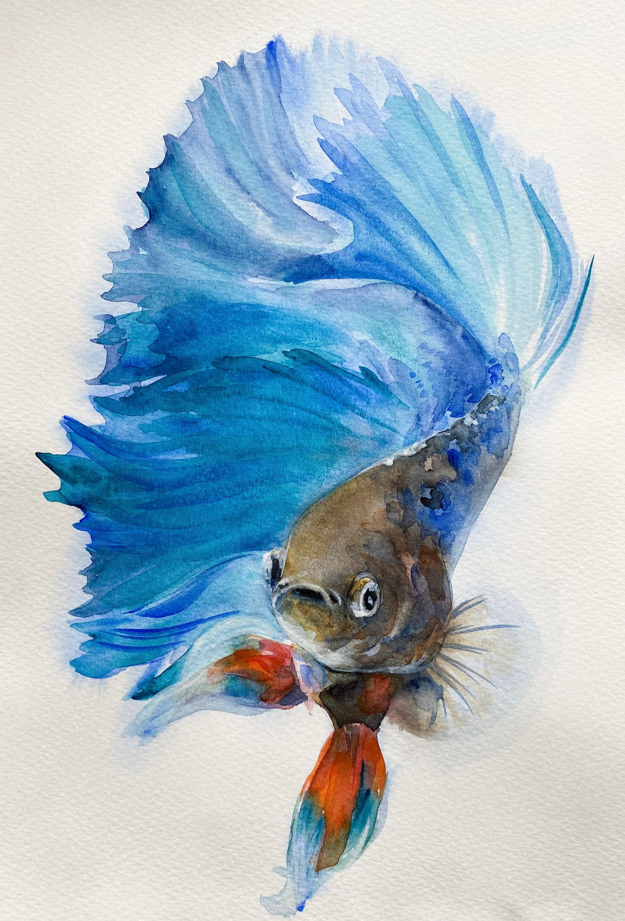 Tropical Fish Watercolor Paintings