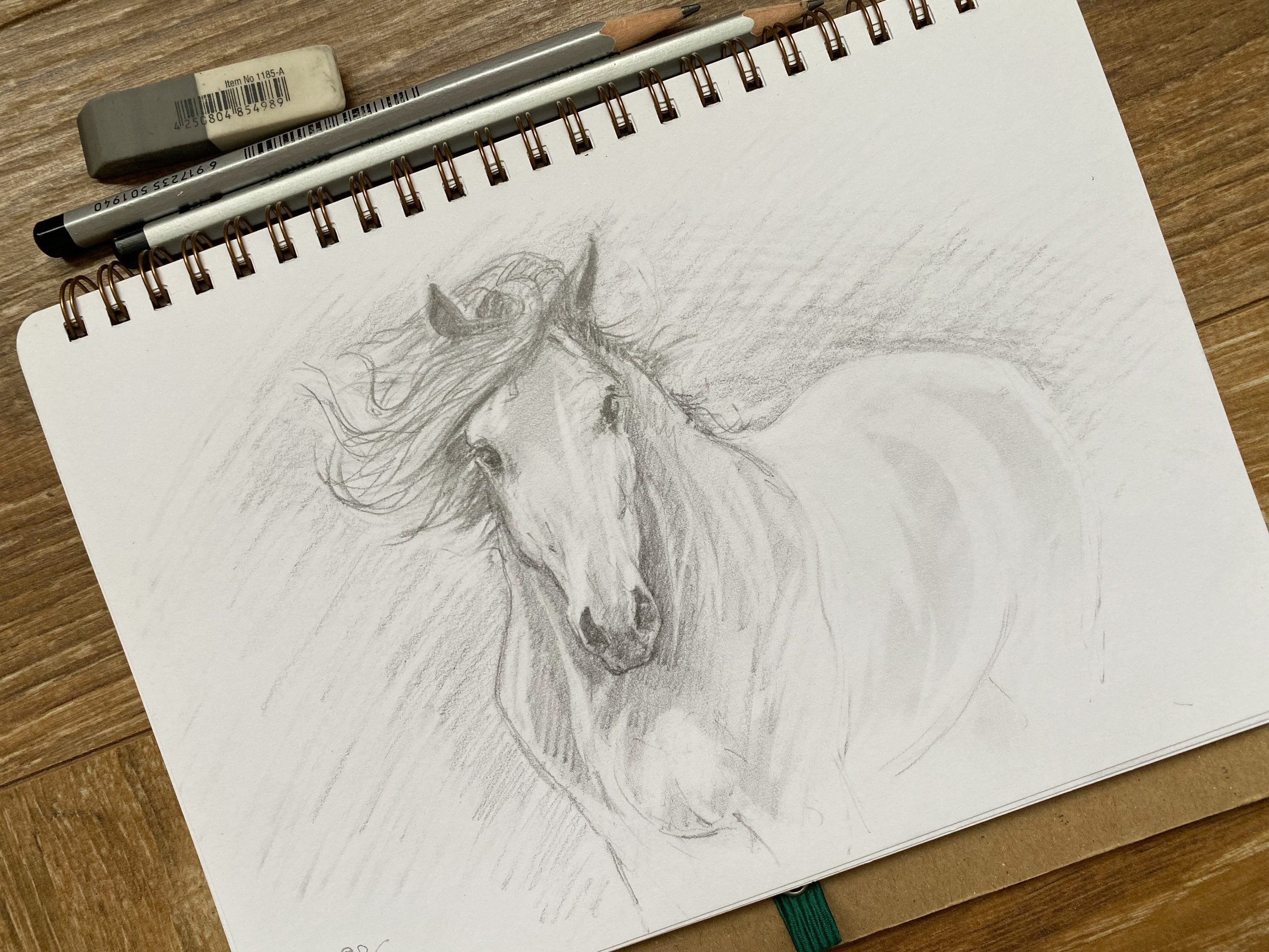Horse Pencil Drawing