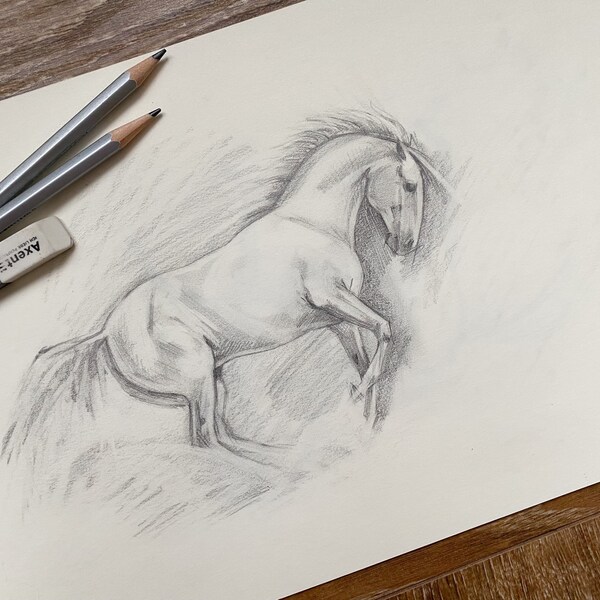Horse in Pencil - Etsy