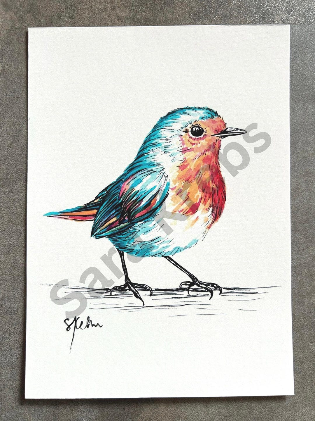 ART PRINT - Hand Signed: From Original Drawing - "english Robin" - Etsy