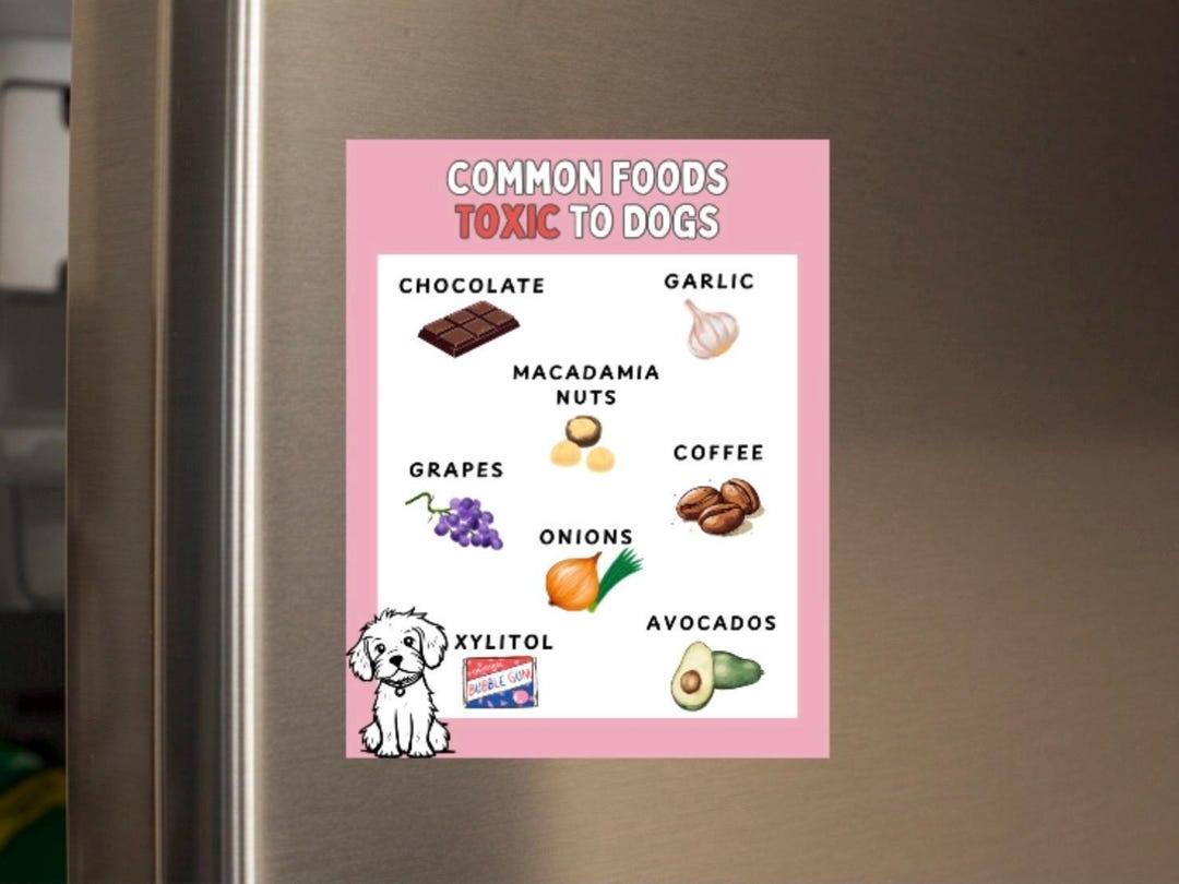 Dog Safe Food List, Unsafe Food Chart for Puppies and Dogs, Avoid Human ...