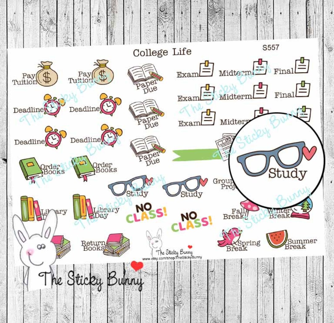 College Life Planner Stickers for Any Planning Style S557 - Etsy