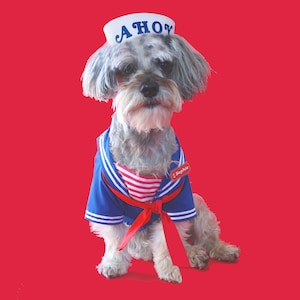 Stranger Things steve Dog Costume name Tag and Hat Sold Separately - Etsy