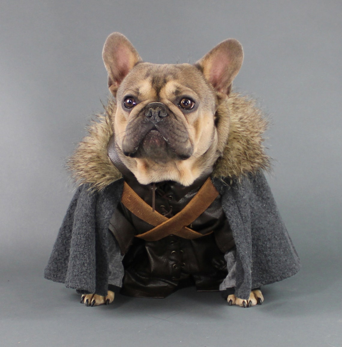 Robb Stark Game of Thrones Dog Costume Ensemble - Etsy