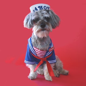 Stranger Things steve Dog Costume name Tag and - Etsy