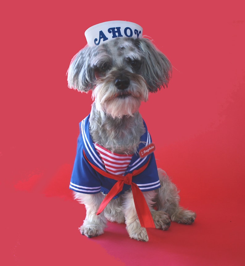 Stranger Things steve Dog Costume name Tag and - Etsy