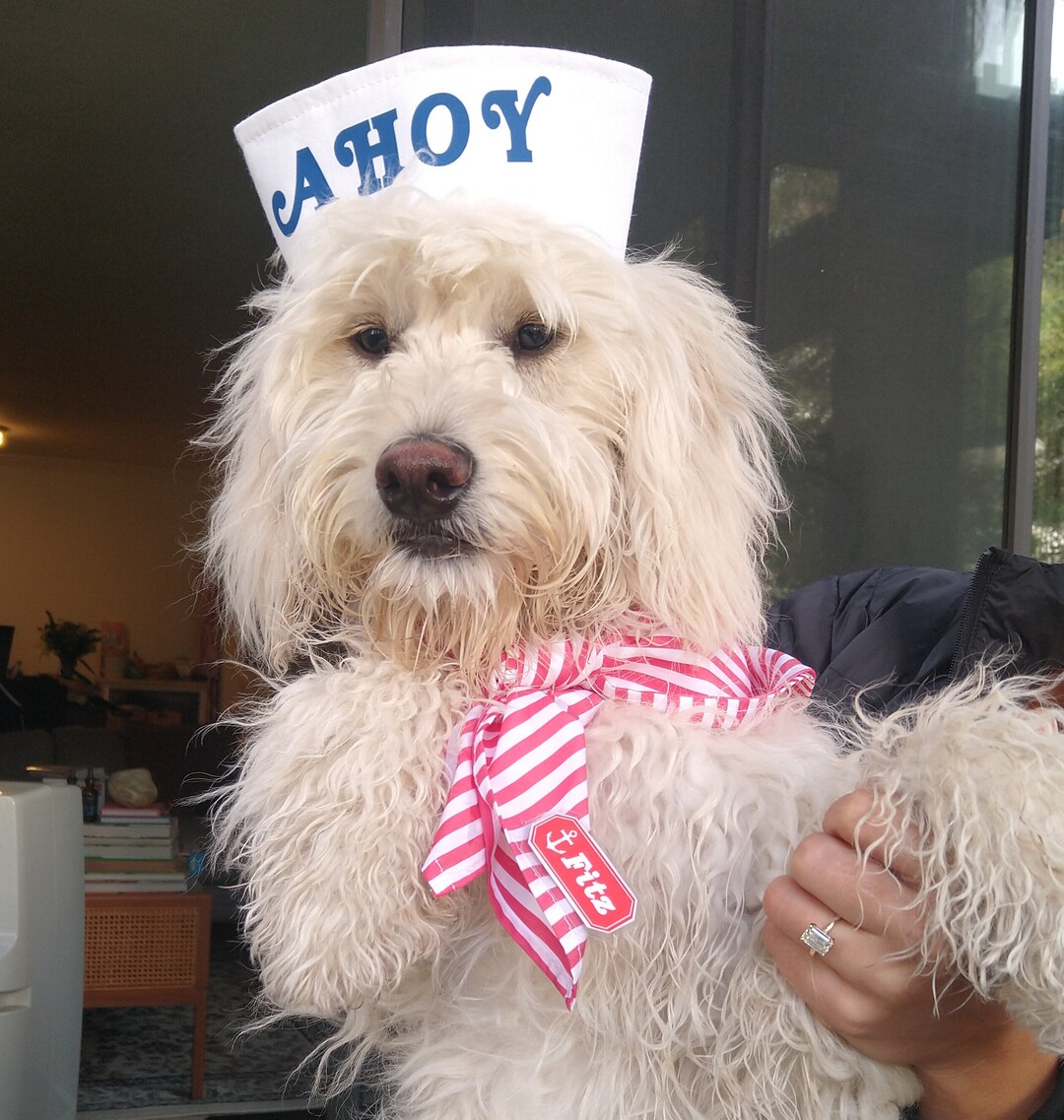 Stranger Things Dog Hat - Etsy