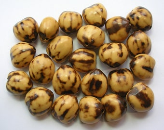 Kukui nut beads | Etsy