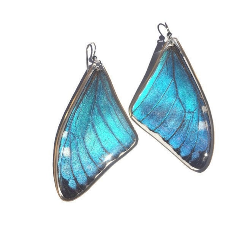 Laminated Butterfly Earring - Etsy