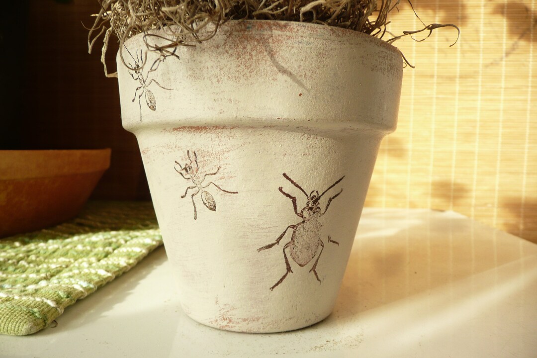 Painted Clay Pot, Insects, Bugs, Hand Made, Upcyled, Gardener Gift - Etsy