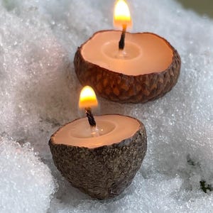 DIY Walnut Advent Calendar: 24 Matching Walnut Pairs (48 Shells ...