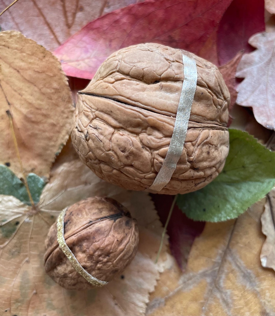 DIY Walnut Advent Calendar: 24 Matching Walnut Pairs (48 Shells ...
