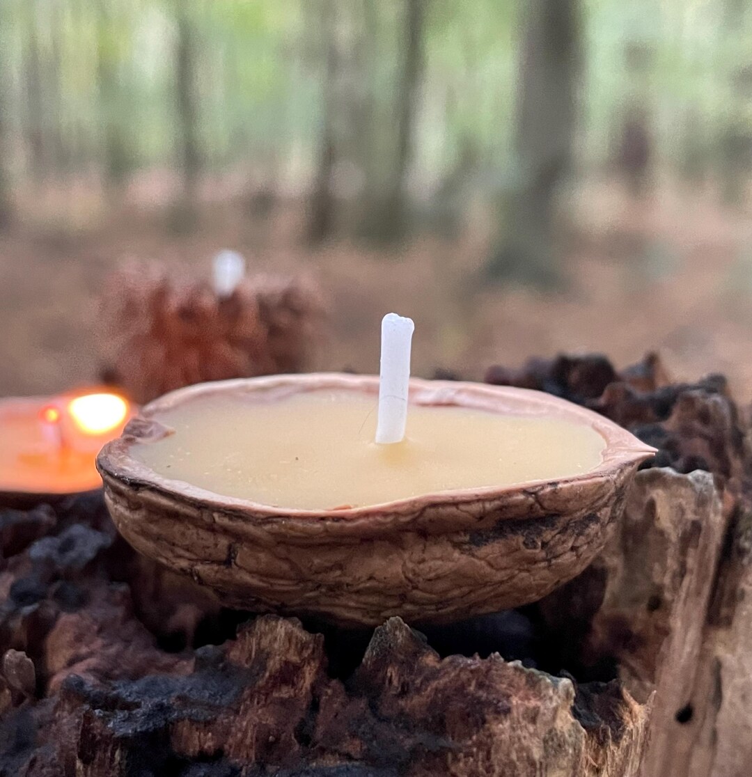 50 Walnut Candles of Beeswax in Gold, White, Mother of Pearl, Champagne ...