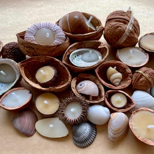 DIY Walnut Advent Calendar: 24 Matching Walnut Pairs (48 Shells ...