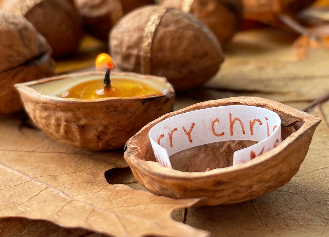 5 Whole Walnut Beeswax Floating Candles, With a Tiny Letter in Yellow ...