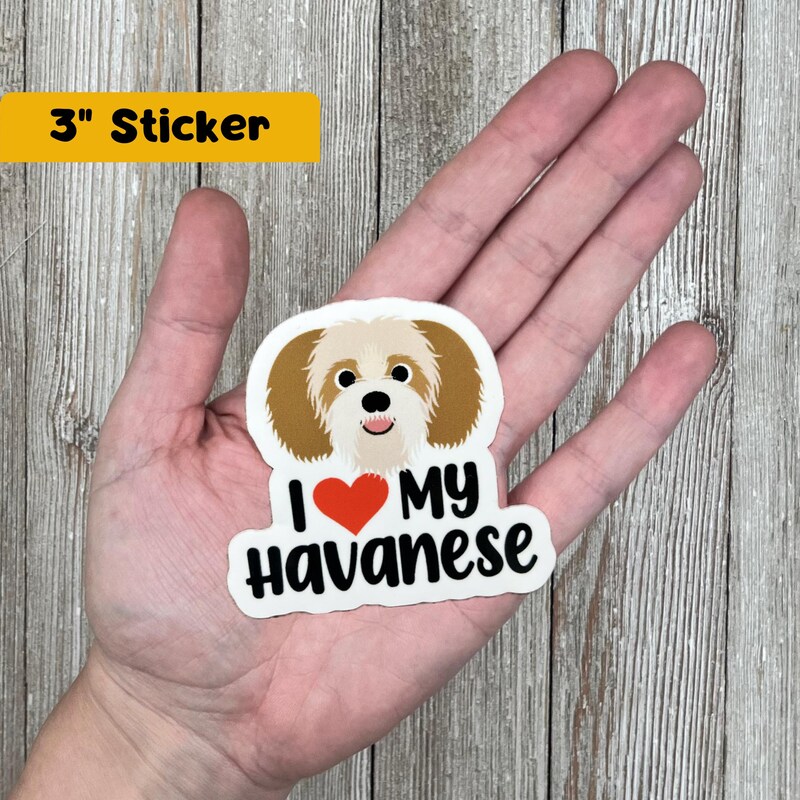 Havanese Stickers - Etsy