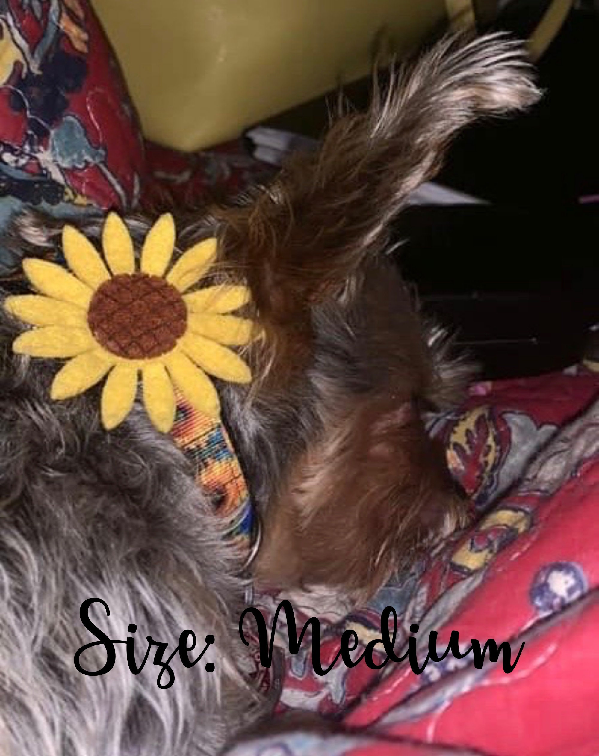 Sunflower Collar Flower Summer Preppy Design Designer | Etsy