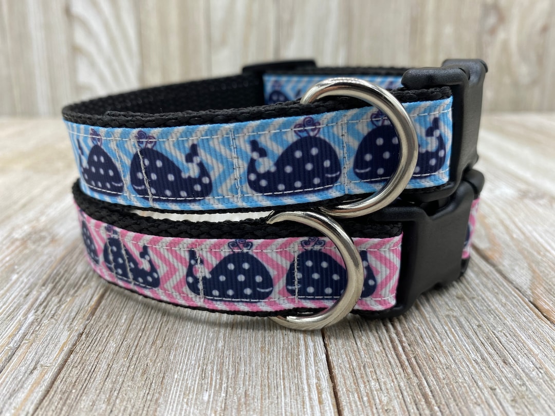 Whales Dog Collar, Beach Collar, Dog Mom Gift, Pink, Blue Dog Collar ...