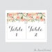 Printable Wedding Table Numbers Peach Floral Table Numbers - Etsy