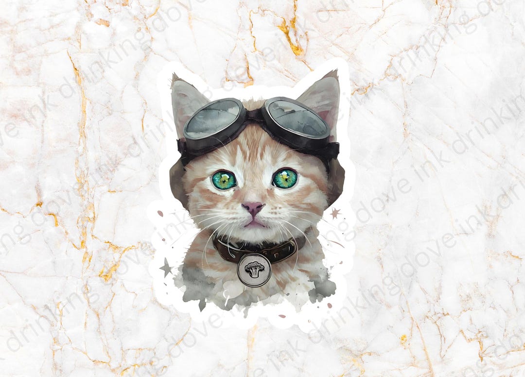 Broccoli Orange Kitten Fourth Wing, Onyx Storm, Claw Card, Drake's ...