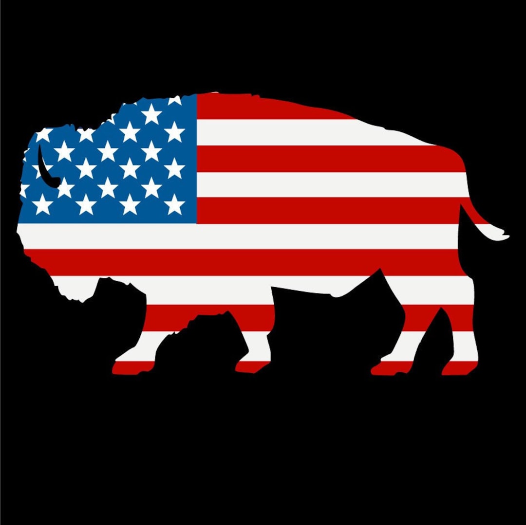 Buffalo NY USA American Flag Vinyl Decal Sticker - Etsy