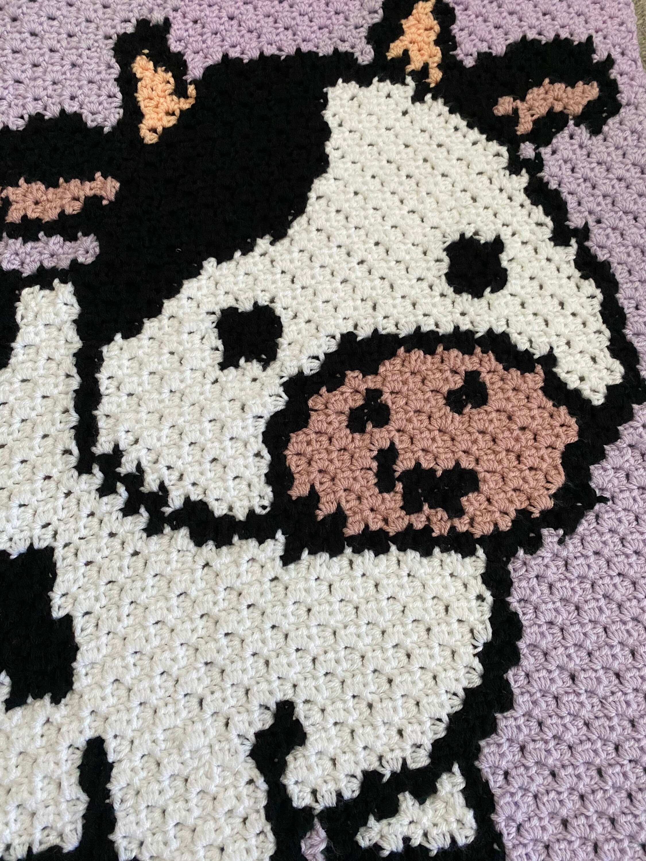 Cow C2C Crochet Pattern, Beginner Easy Blanket PATTERN ONLY - Etsy