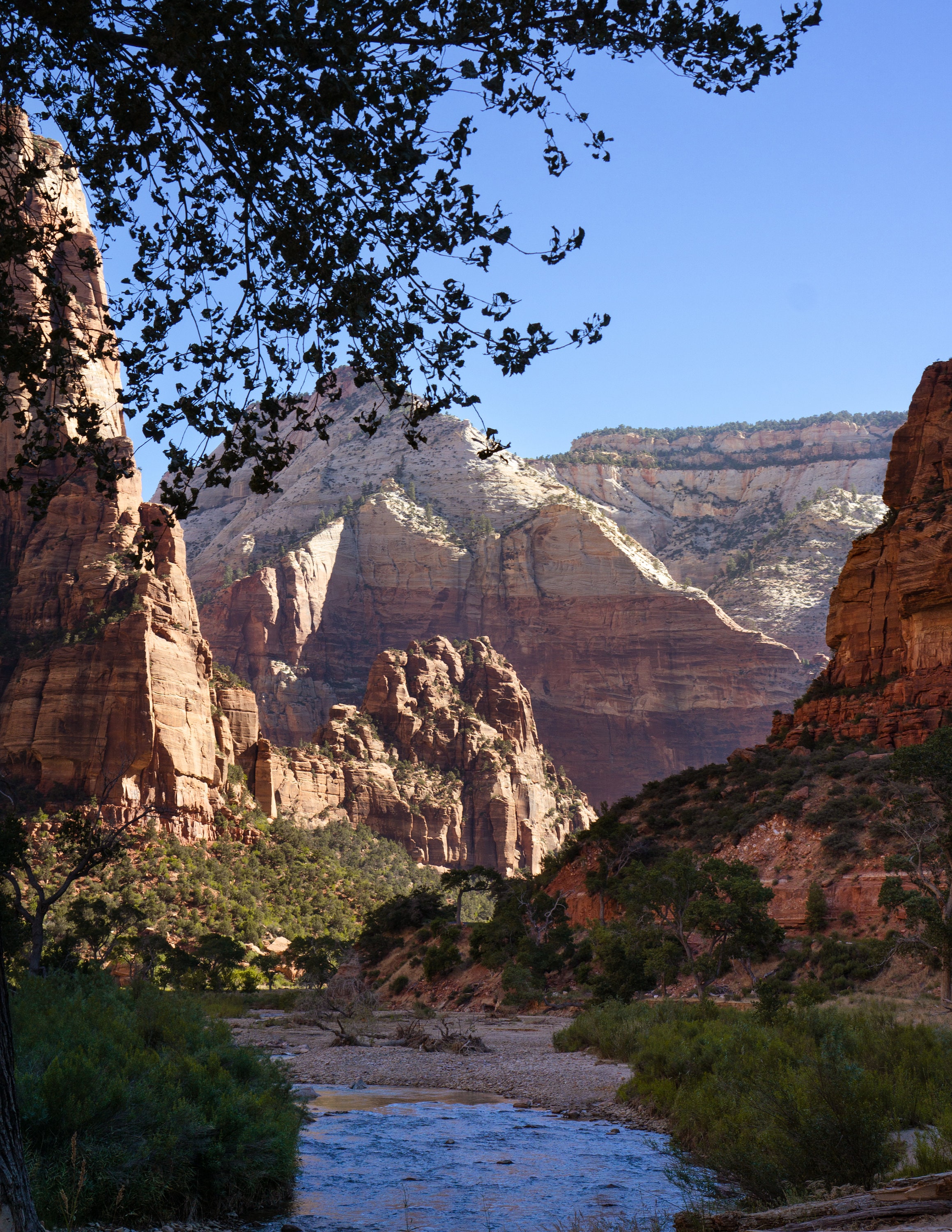 Zion National Park | Utah | Photo Pack - Etsy