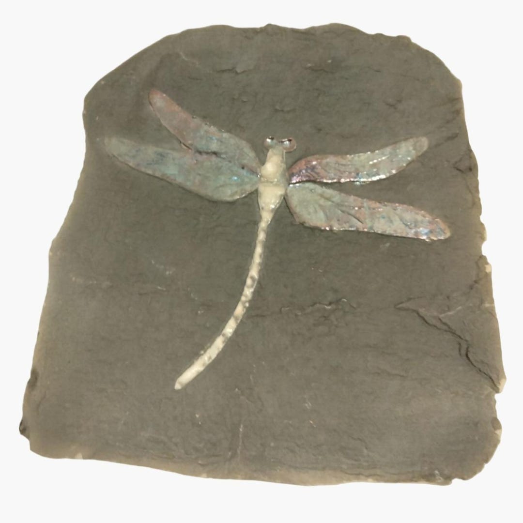 Dragonfly Slate Rock Natural Stone Embossed Fossil Design Garden Decor ...