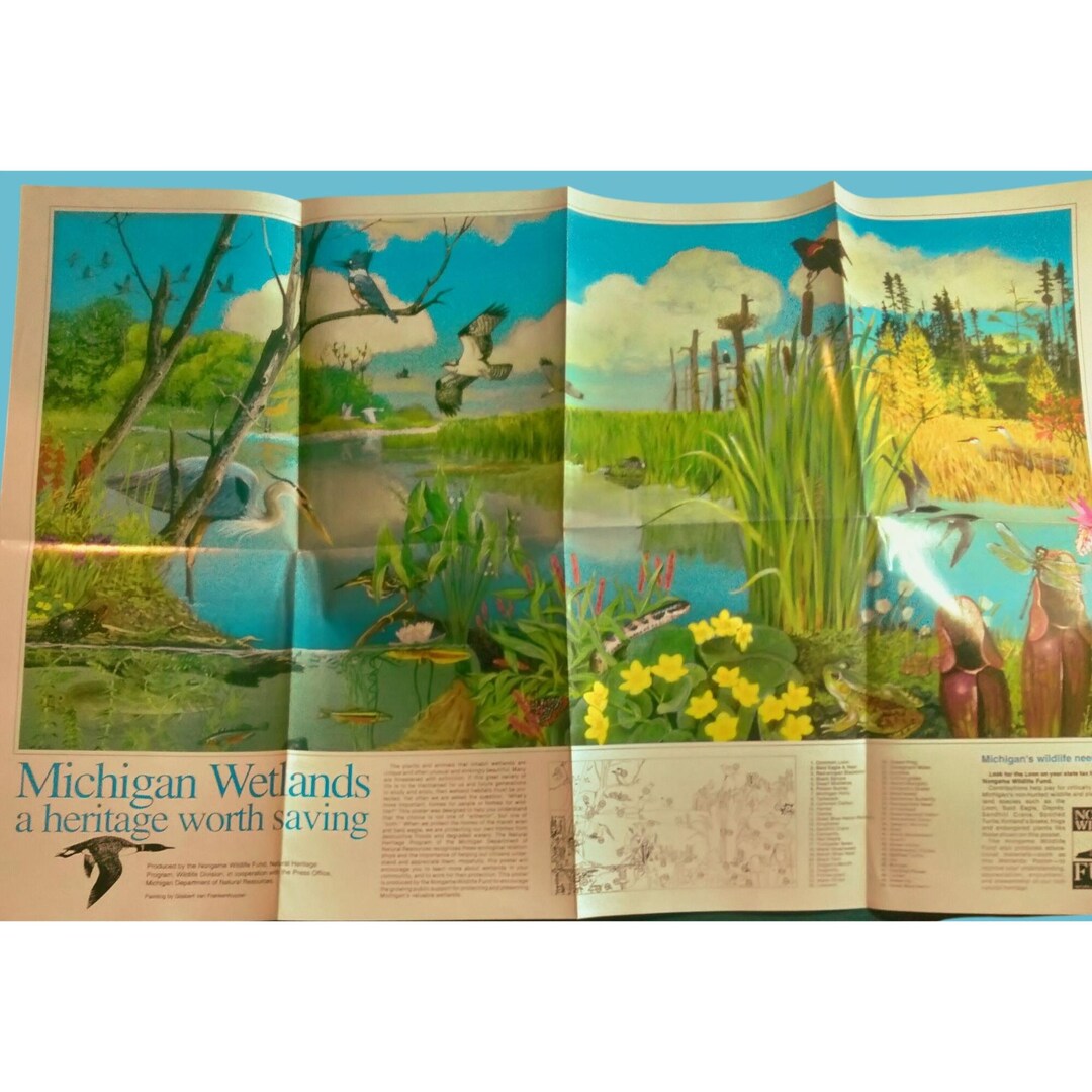 Michigan Wetlands Poster A Heritage Worth Saving Nongame Wildlife Fund ...
