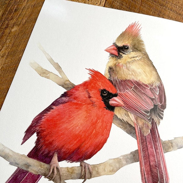Northern Cardinal - Etsy