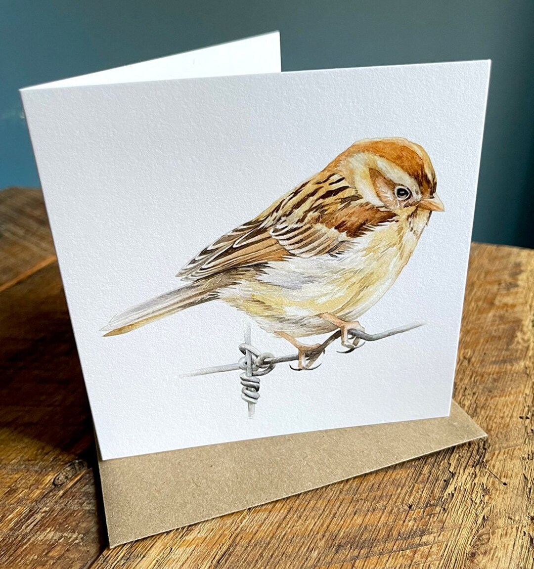 Field Sparrow, Blank Note Card - Etsy