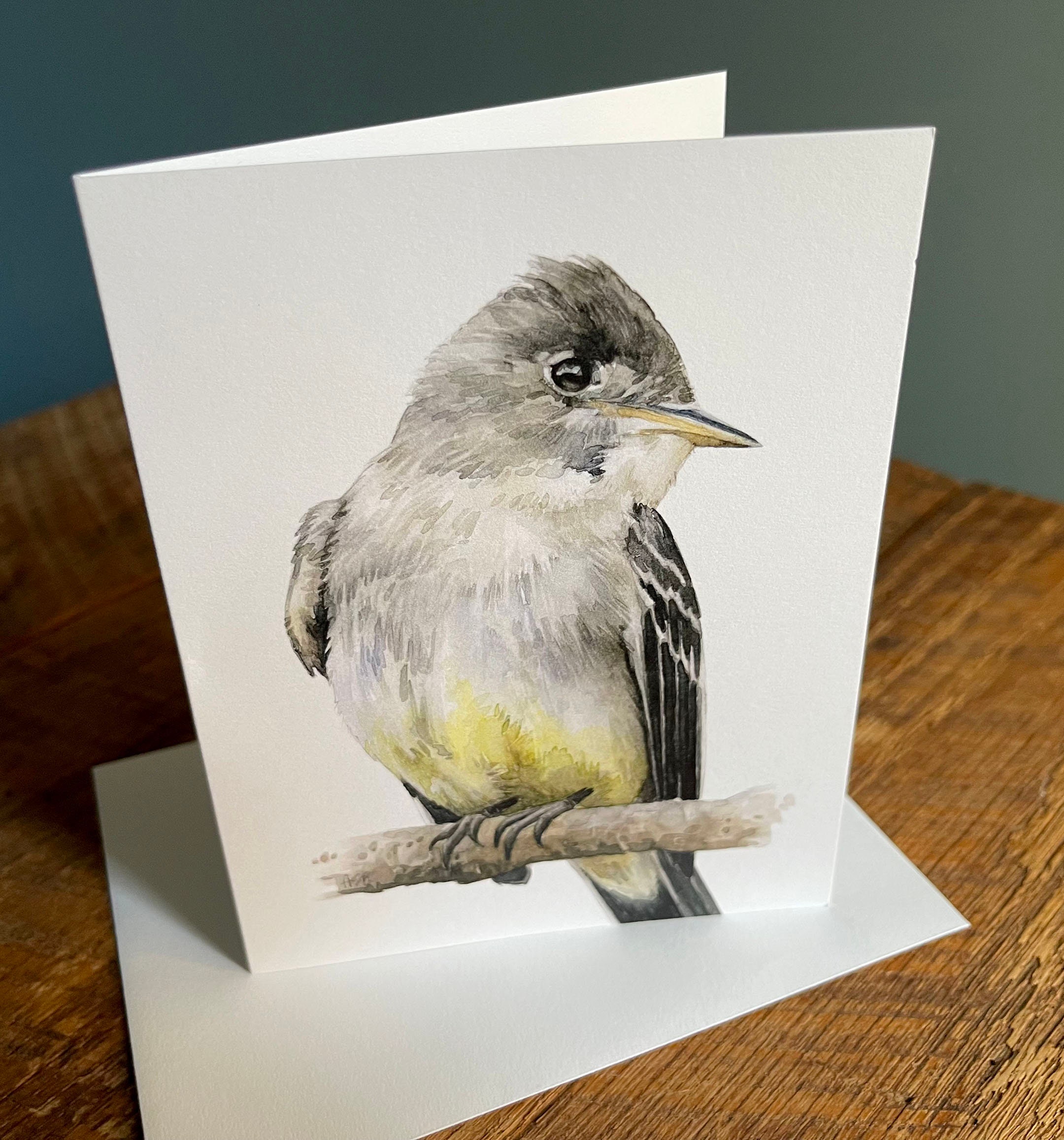 Eastern Phoebe Note Card — Amy Shawley Paquette