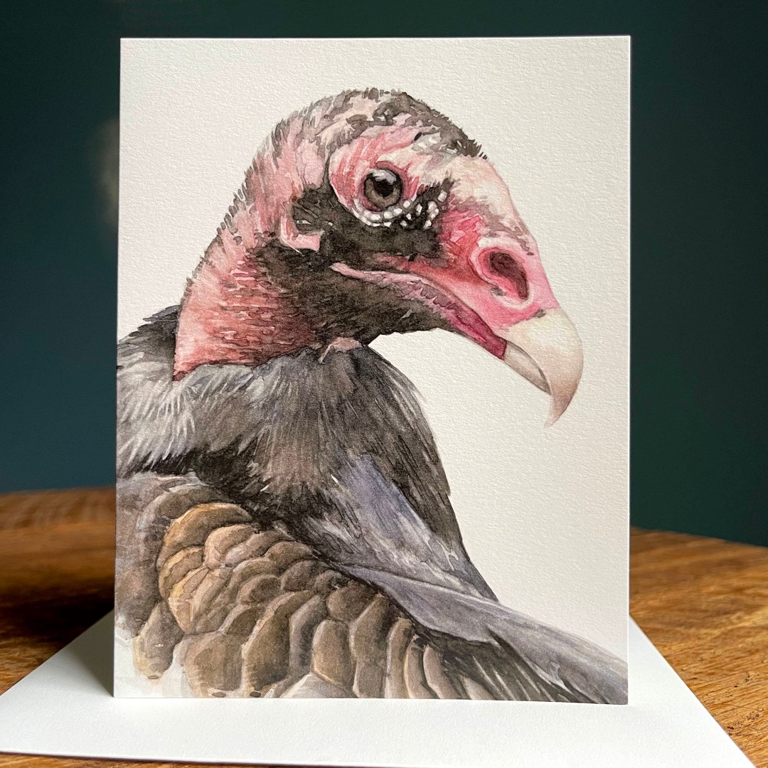 Turkey Vulture Blank Note Card - Etsy