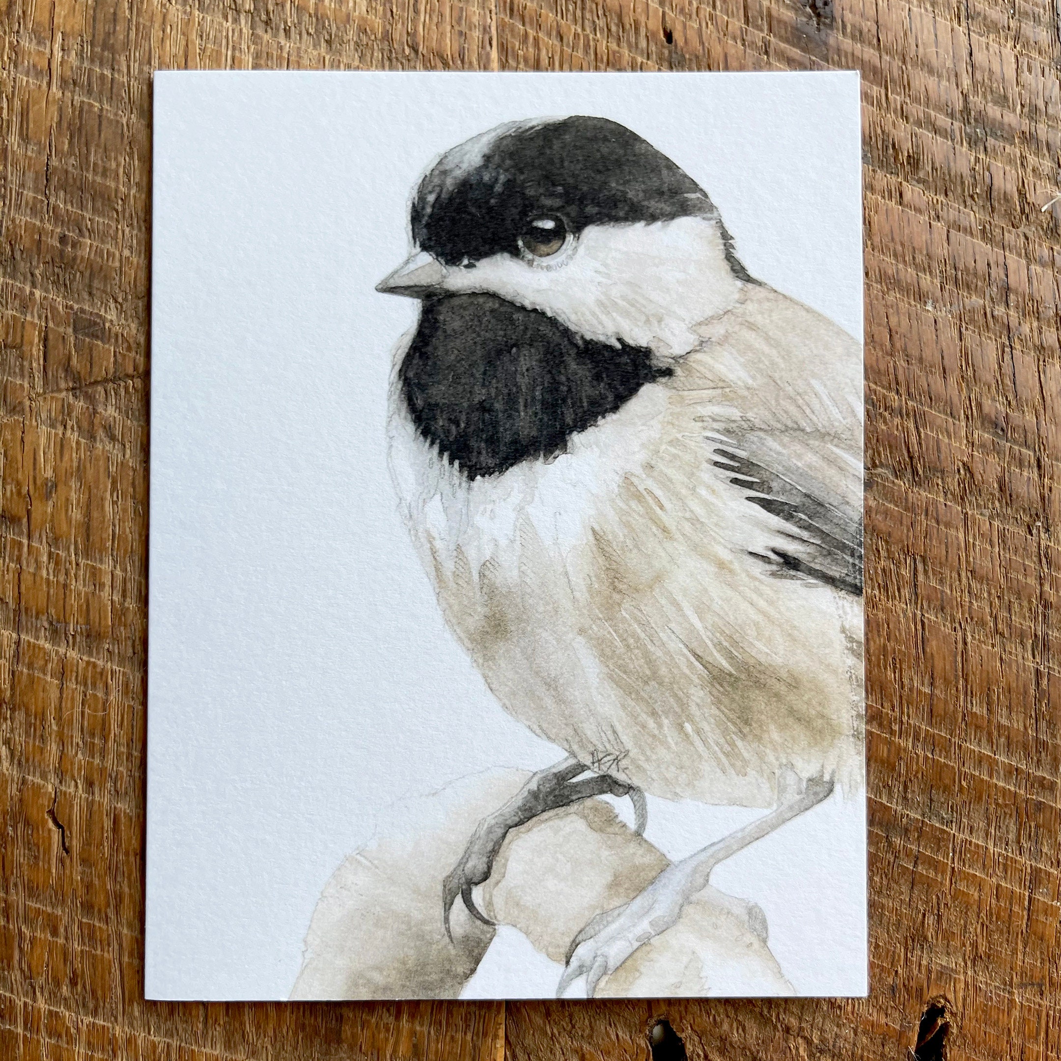 Chickadee Note Card — Amy Shawley Paquette