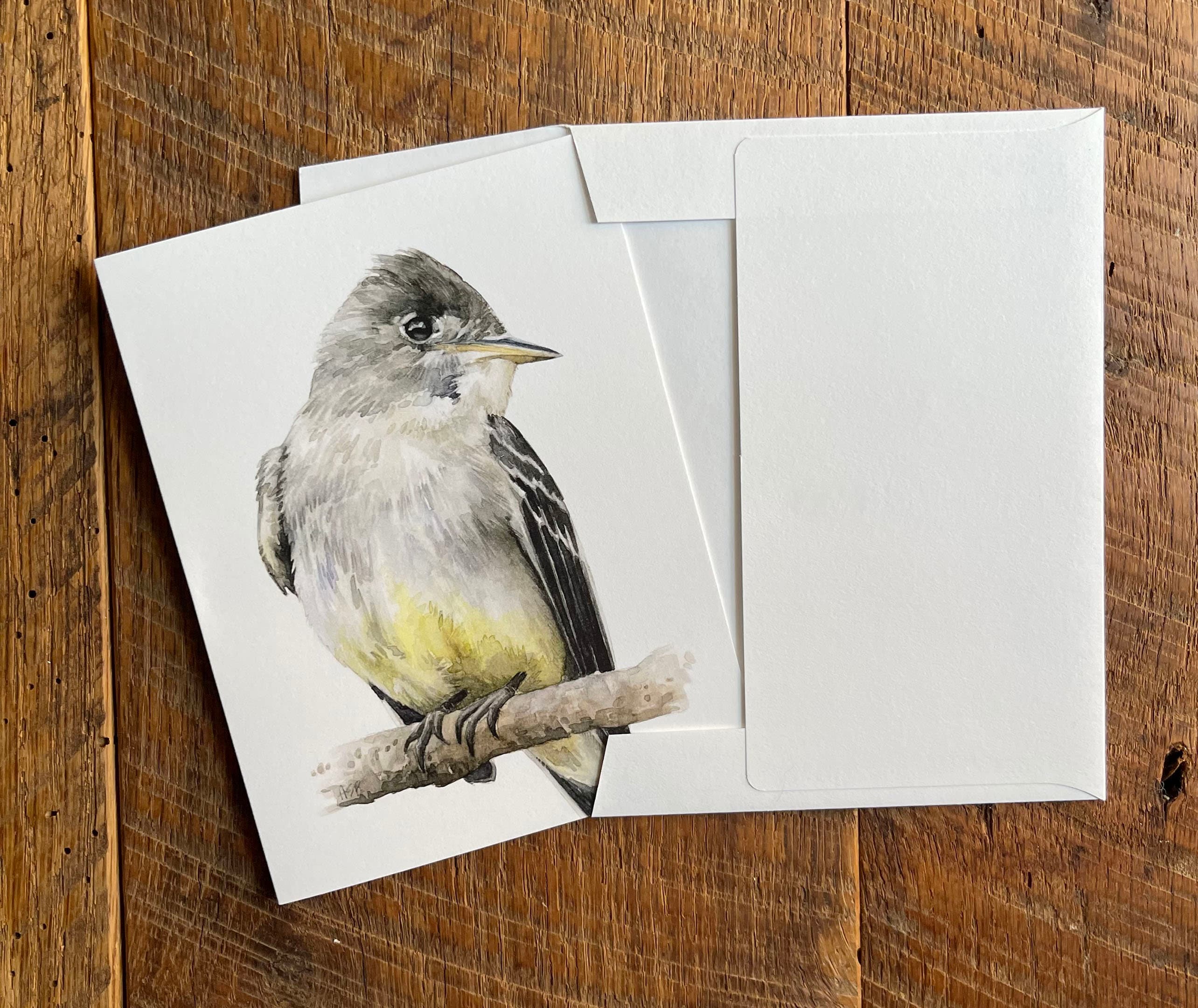 Eastern Phoebe Note Card — Amy Shawley Paquette