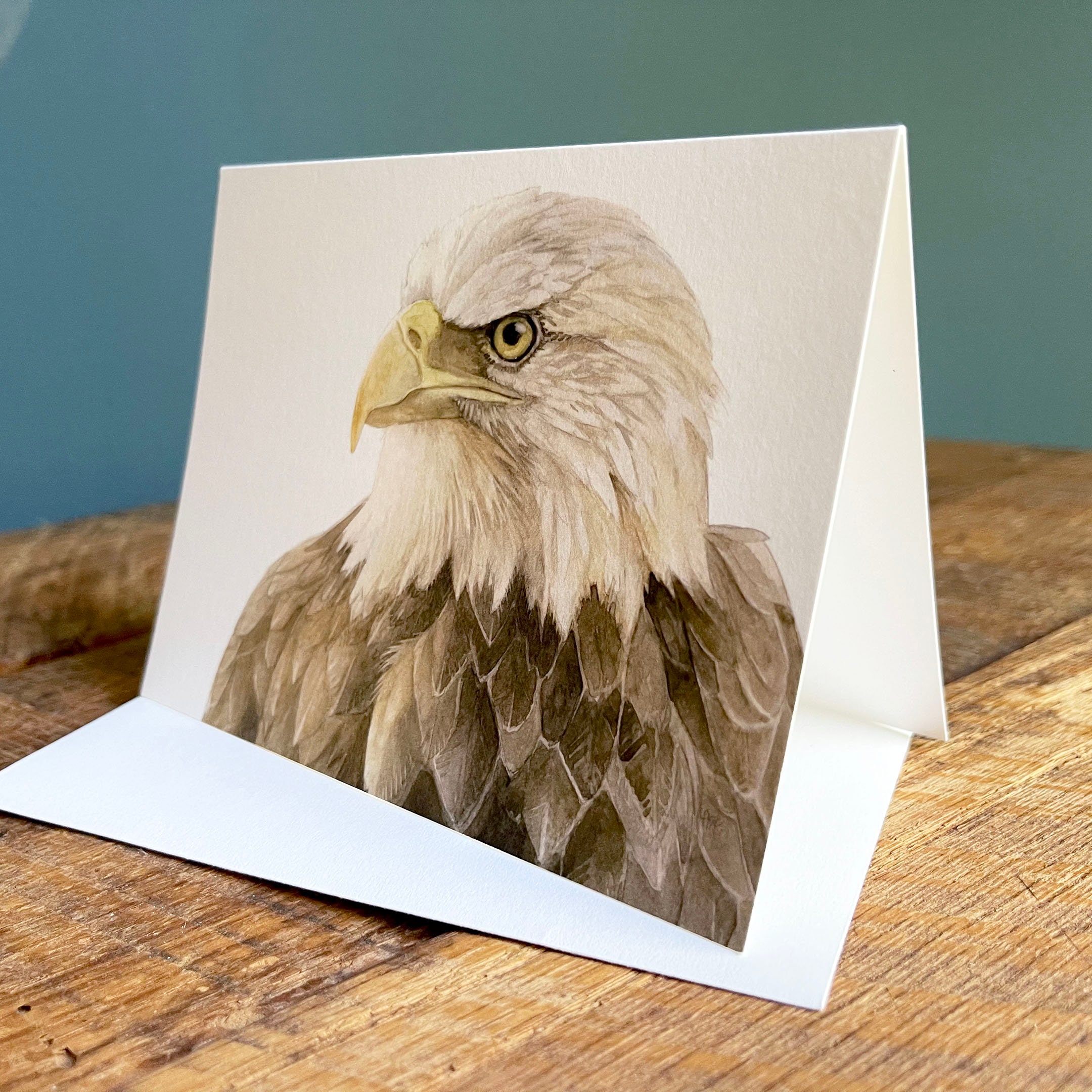 Bald Eagle Blank Note Card — Amy Shawley Paquette