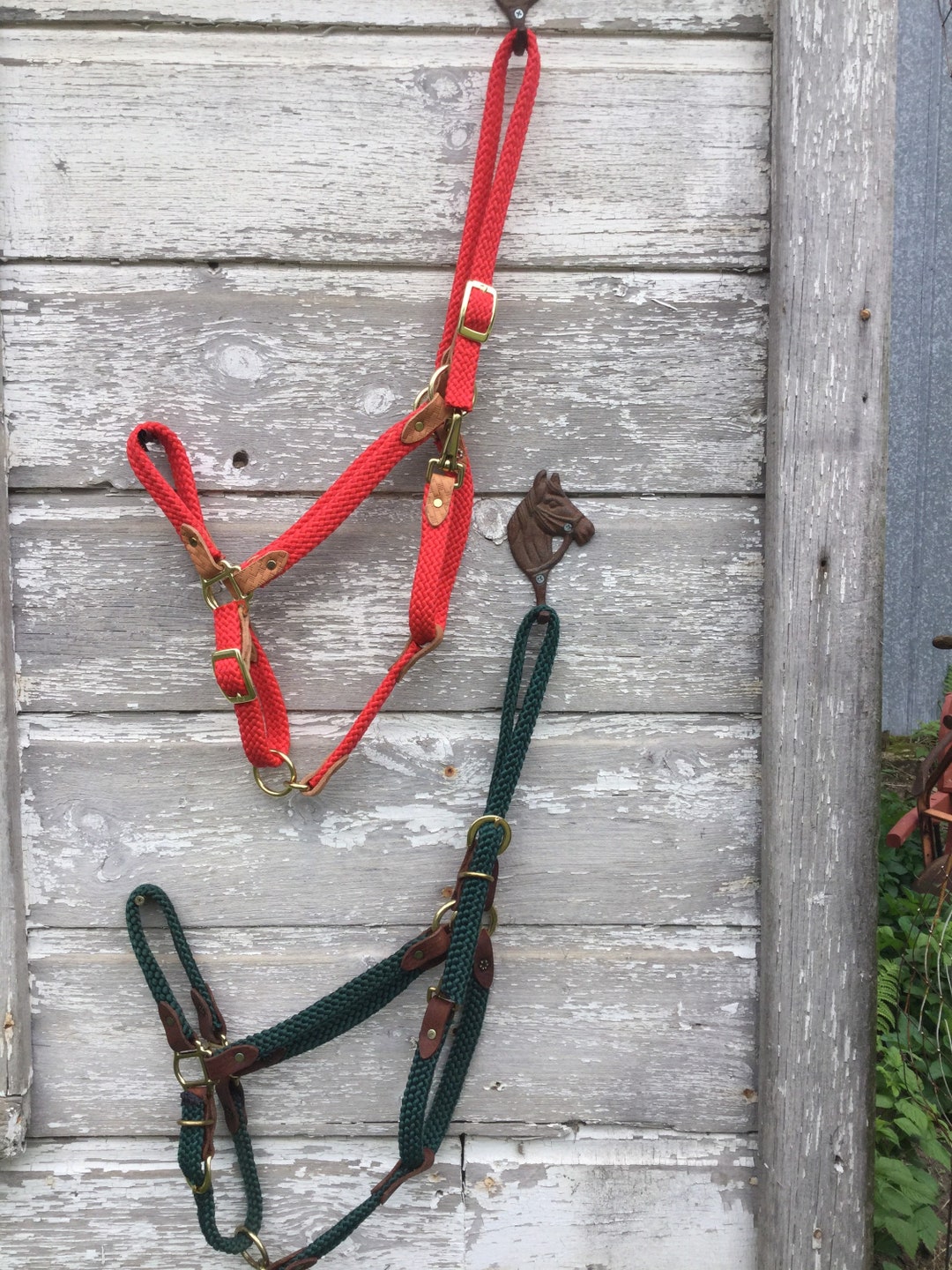 Break Away Horse Halters - Etsy