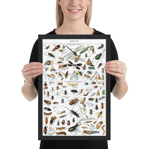 Animal Guide Art - Etsy