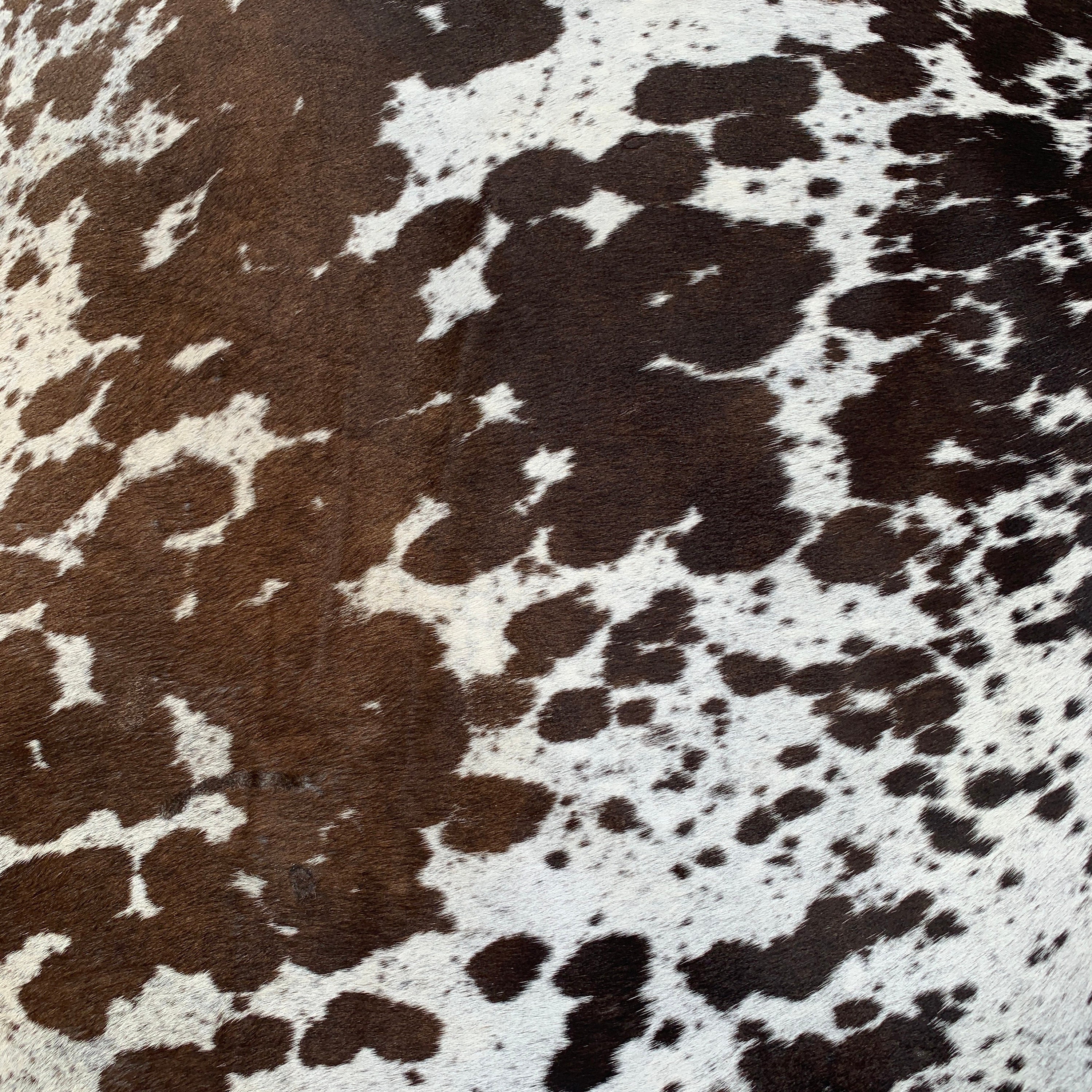Amazing Tricolor Cowhide Rug | Tricolor Cow Rug | Tricolor Brown and ...