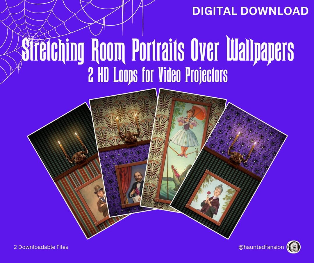 Video Loop of Stretching Room Portraits Seamless Loop Over Four Themed ...