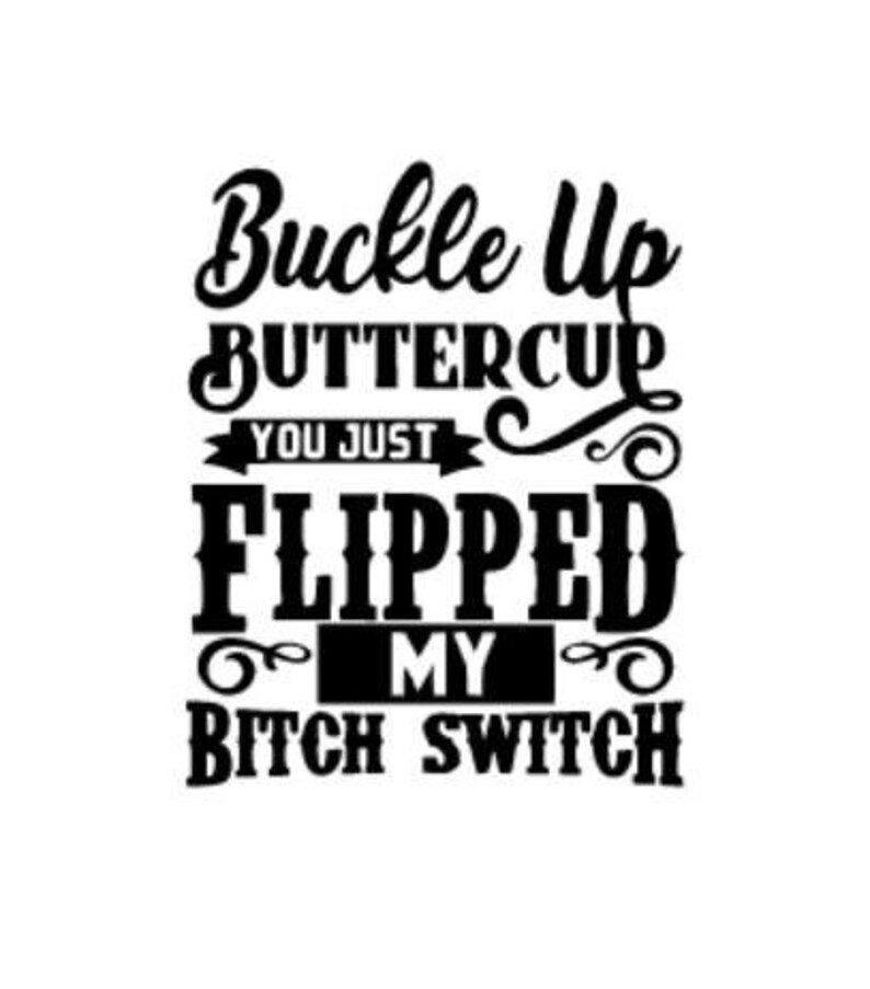 Buckle up Buttercup You Just Flipped My Bitch Switch.vinyl Decal.water ...