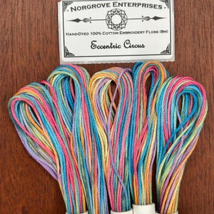 Eccentric Circus Variegated Embroidery Floss Hand Dyed Embroidery ...