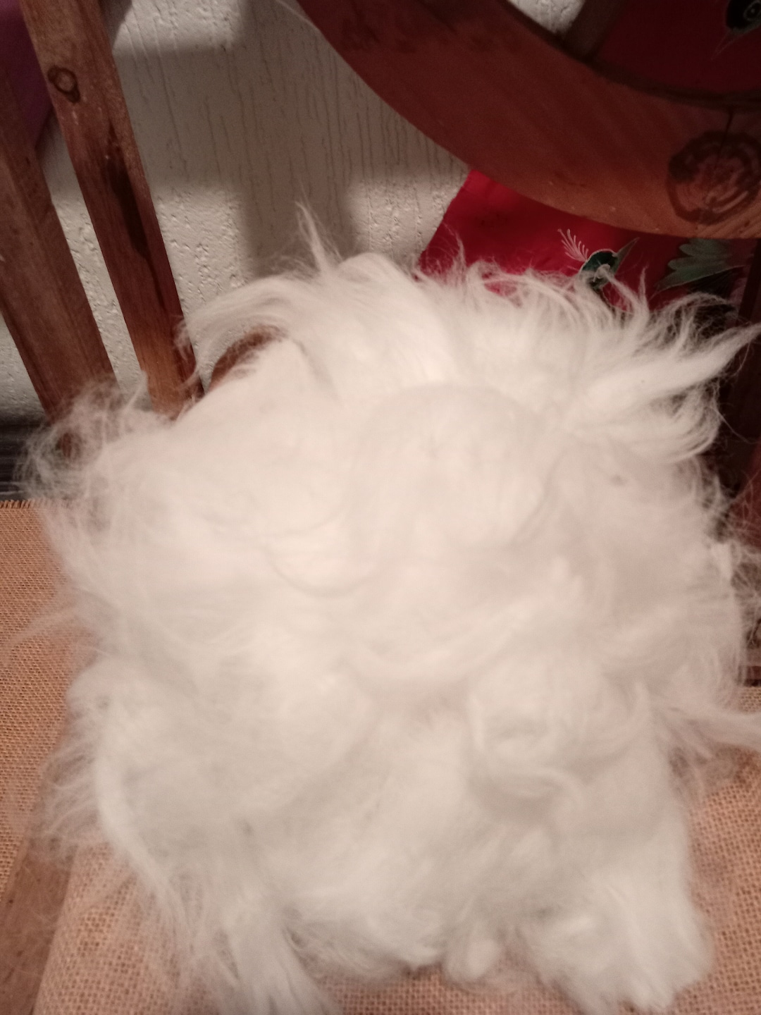 White Angora Rabbit Fiber. Raw German Angora Rabbit Fiber. Pure Wool ...